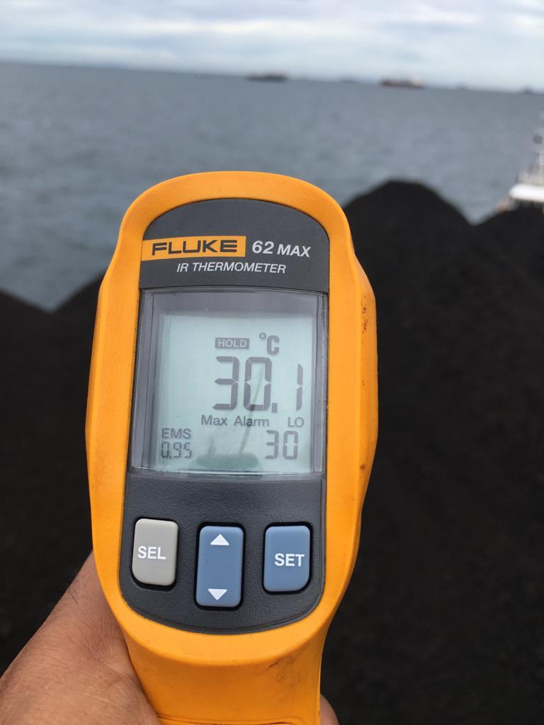 Dry & Bulk Cargo Inspection – IIC-Inspection